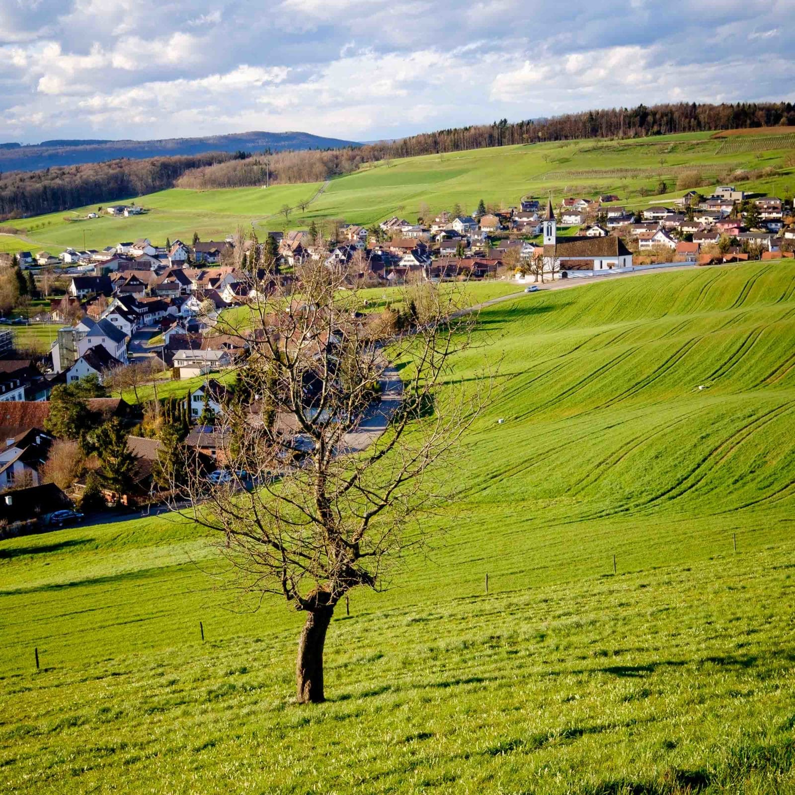 The rolling hills of Basel-Land